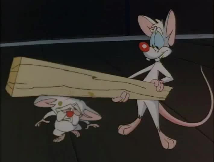 Animaniacs Episode 54 Brain Meets Brawn / Meet Minerva | Watch cartoons ...